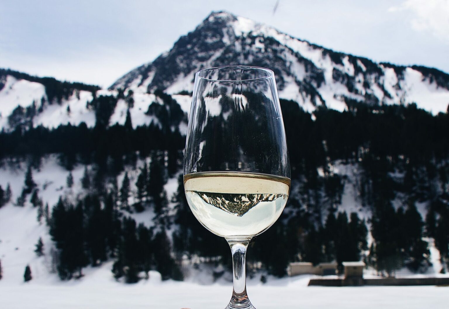 Top Winter Wineries - Reston Limousine