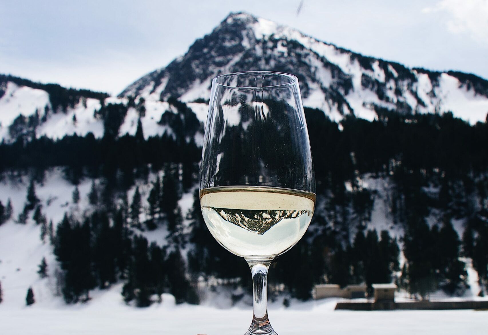 Best Wineries for a Winter Winery Tour - Reston Limousine