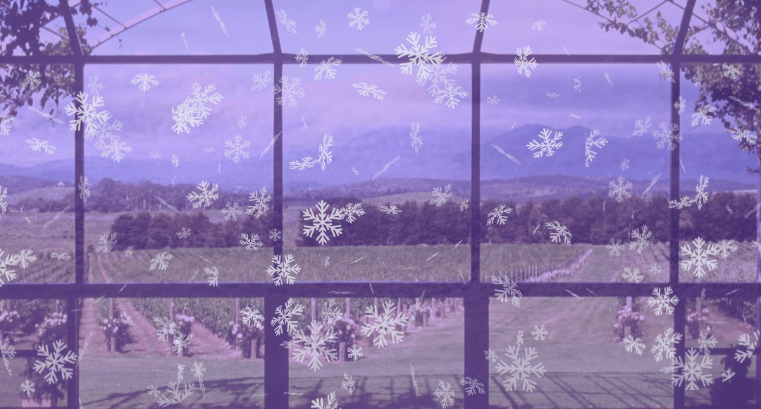 Winter Winery Tours - 5 Northern Virginia Wine Tours We Love! - Reston ...